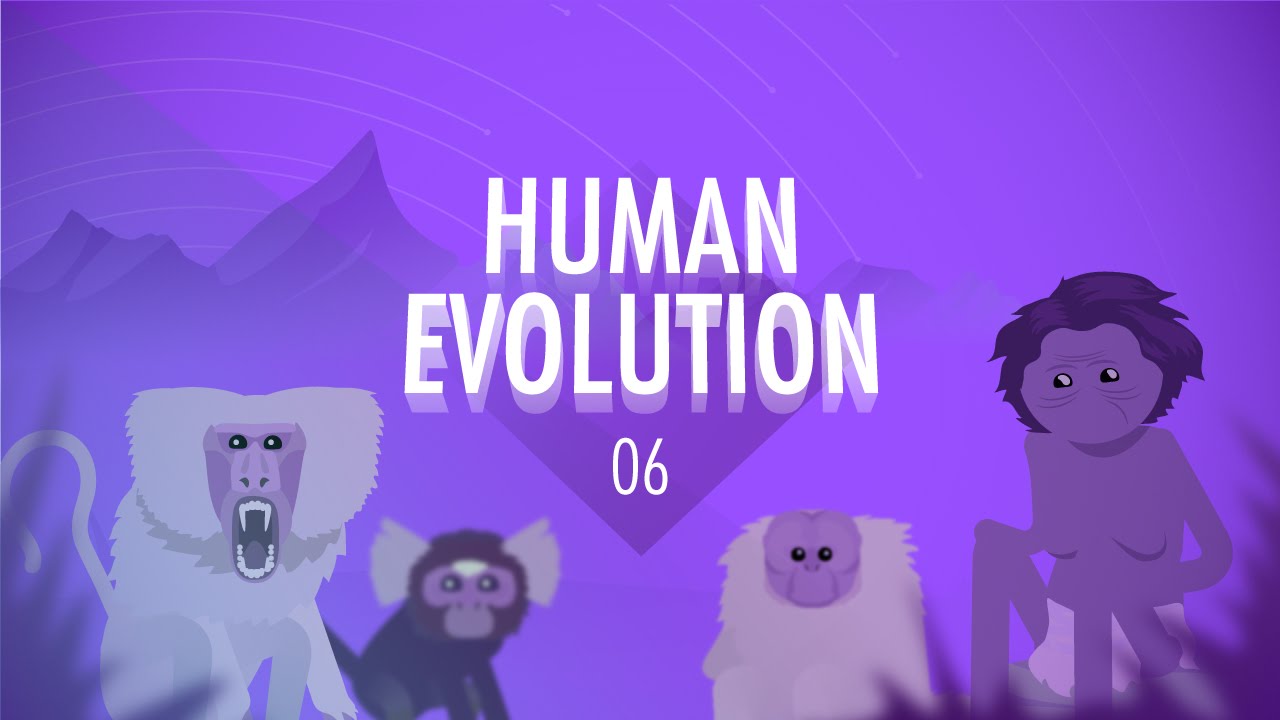 Crash Course: Human Evolution
