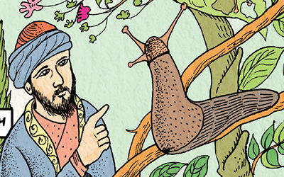 An Illustrated Biography of Ibn Bassal