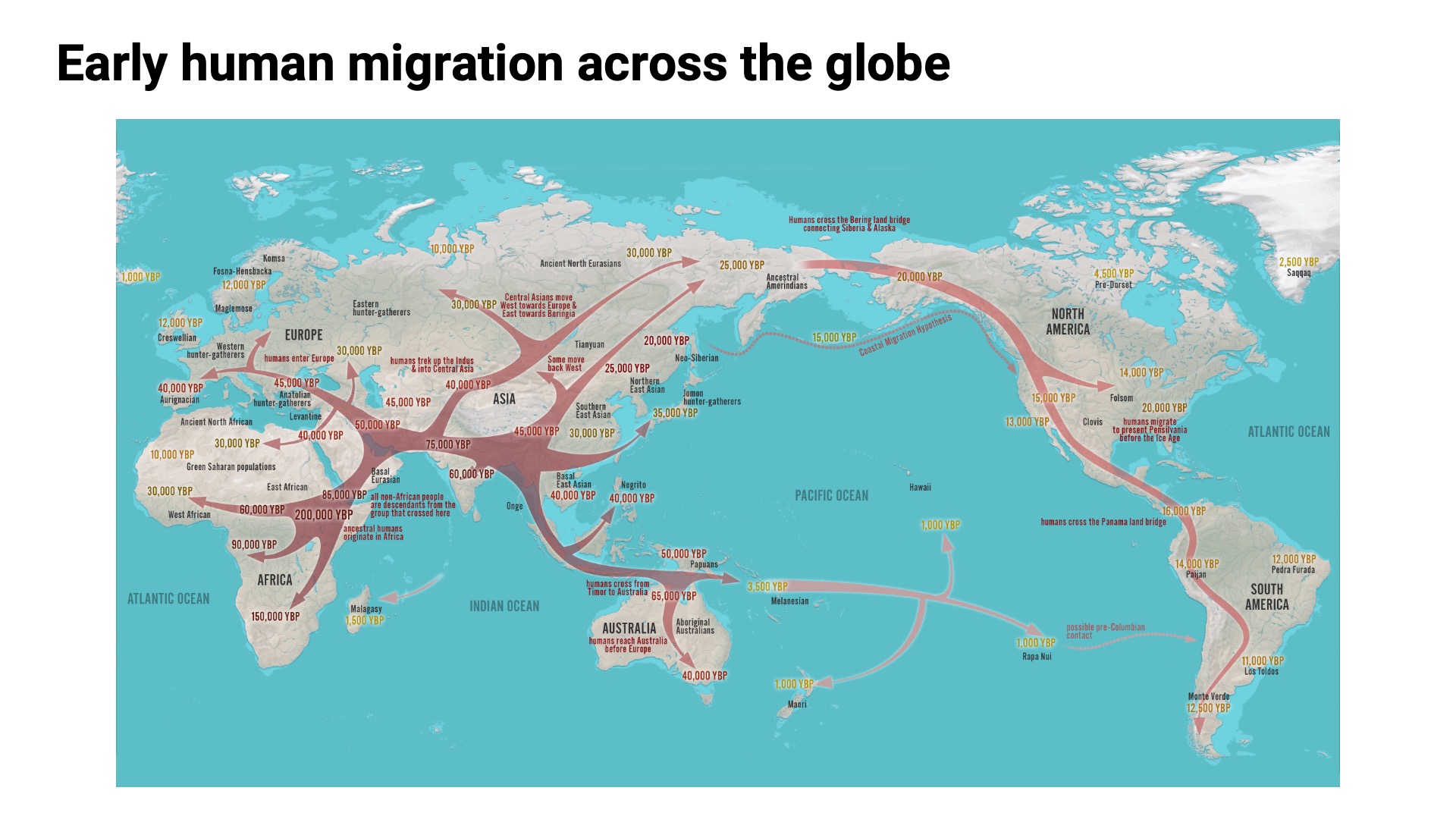 Big History Unit 4 Early Human Migration
