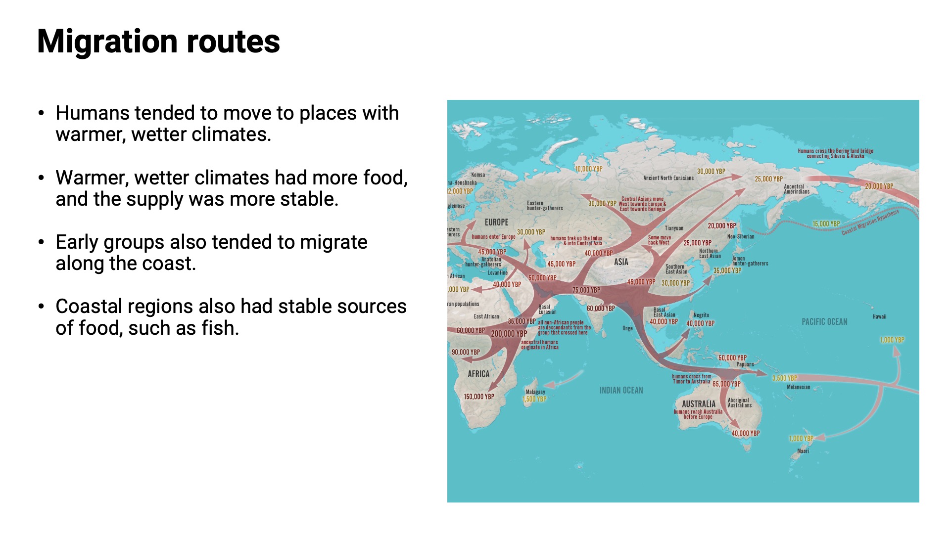 Big History Unit 4 Early Human Migration