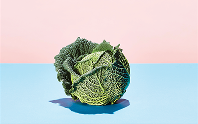 Food Production Data Exploration