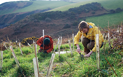 Article: Reforestation and How It Combats Climate Change