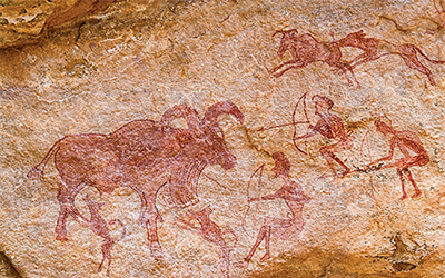 Foraging Communities, Societies, and Networks