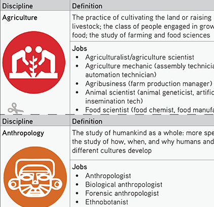 BHP Discipline Cards
