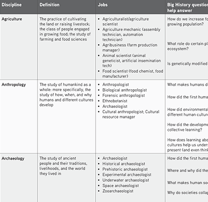 BHP Disciplines Chart