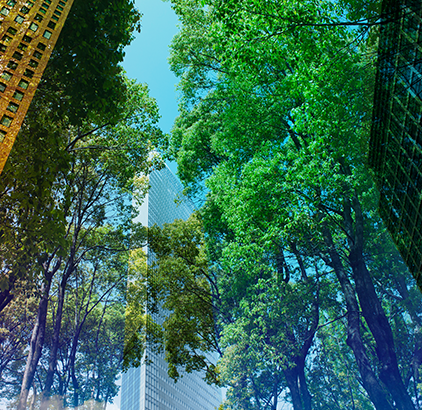 Climate Project Extension Brochure